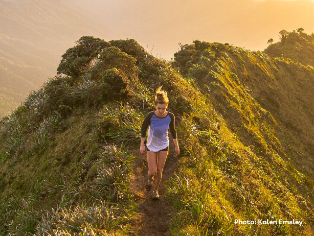 Tea and Exercise: Workout Teas For Better Fitness – Tea Chest Hawaii